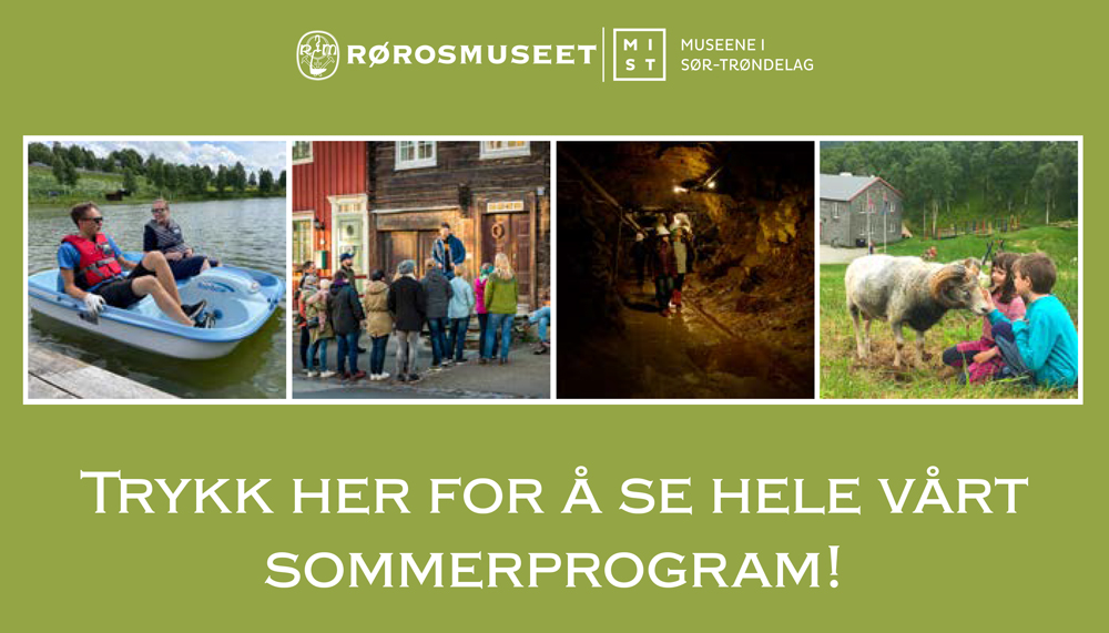 God mathygiene i julestria - Rørosnytt.no